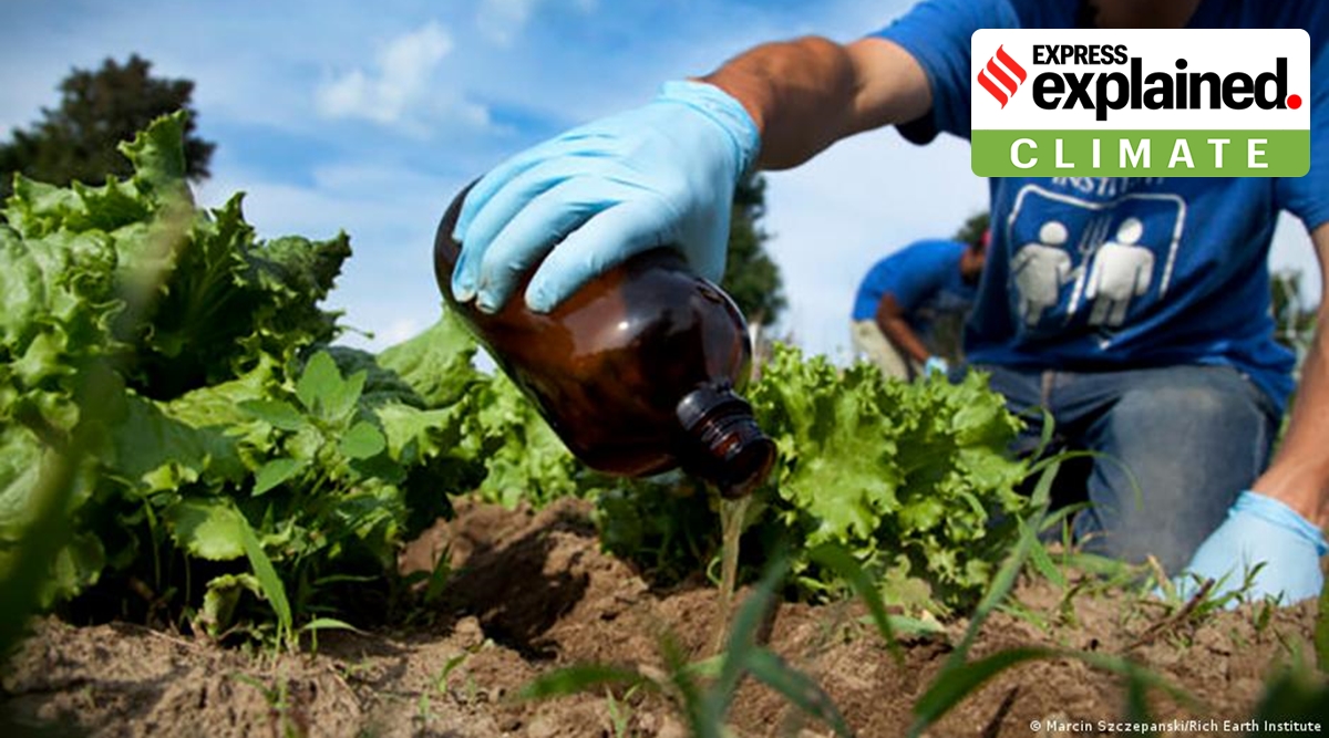 Will recycling human poop help grow food sustainably? | Explained News ...