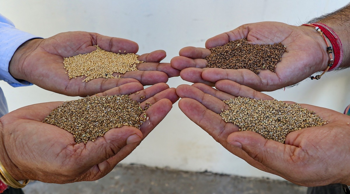 MHA introduces millets in meals given to CAPF, NDRF personnel | India ...