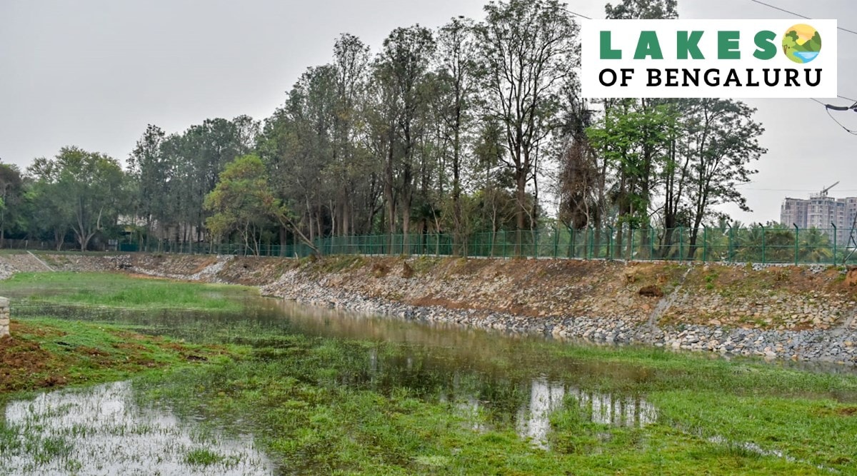 Lakes of Bengaluru: Experts point to flaws in rejuvenation plan of ...
