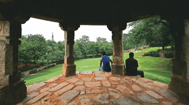 Heritage trails, replanting orchards on the cards for Mehrauli Park ...