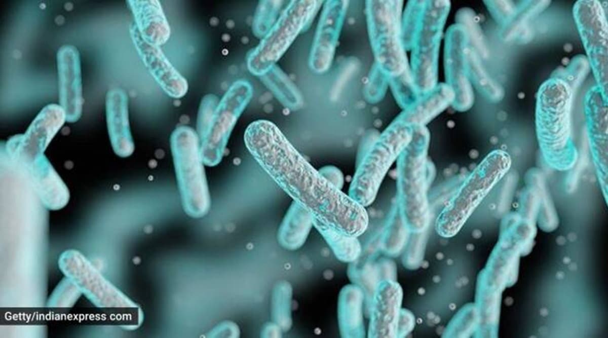 Reconstructing ancient bacterial genomes can revive previously unknown ...