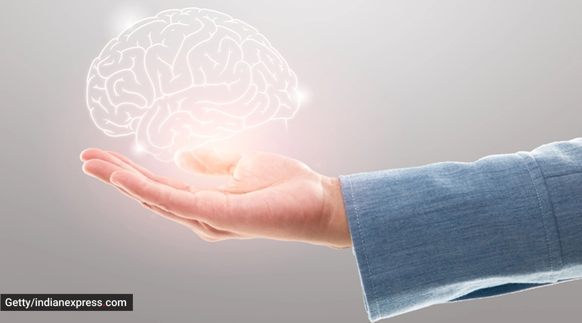 Brain activity driving return to drug use following abstinence examined ...