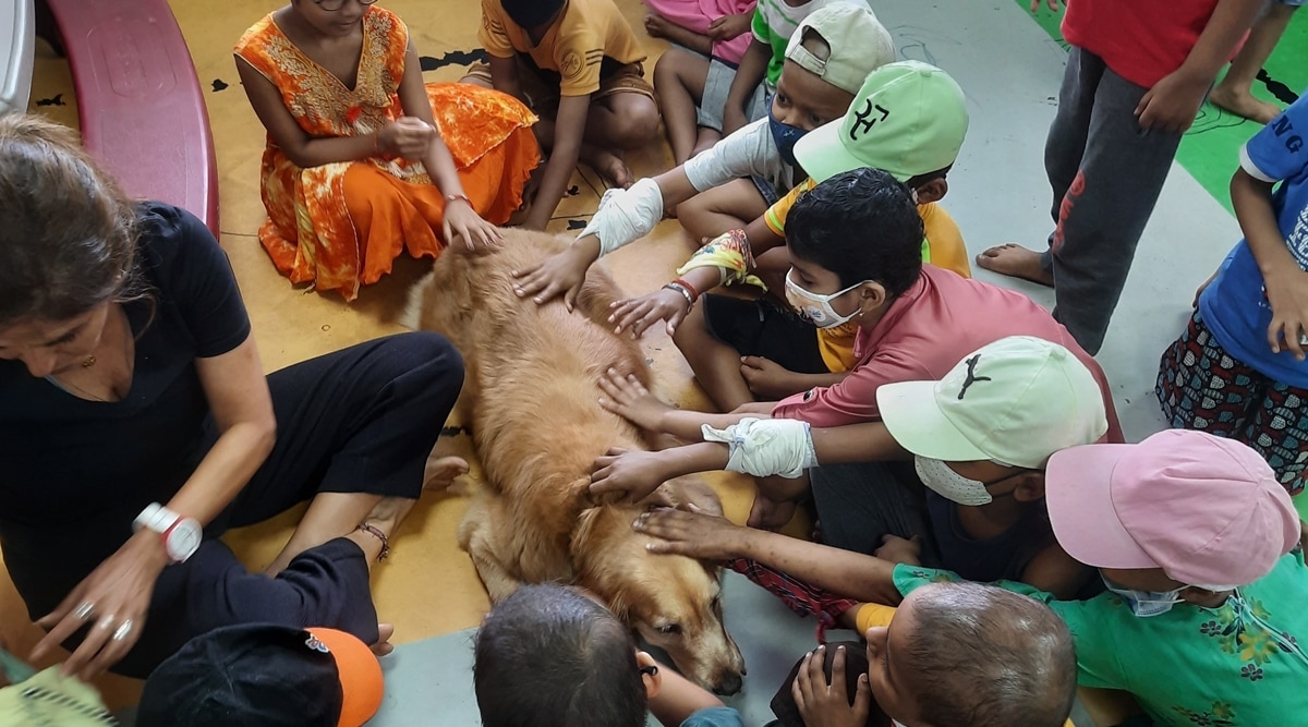 At Mumbai’s cancer hospital, a furry therapist helps heal children ...