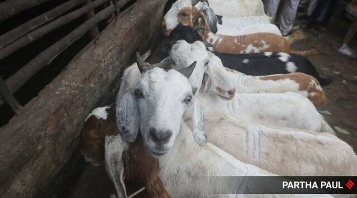 Man lynched to death for alleged goat theft in Tripura, nine arrested | North East India News ...