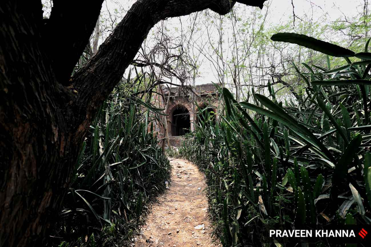 Delhi to launch ‘haunted walk’ tomorrow; first trip to Malcha Mahal | Delhi News - The Indian ...