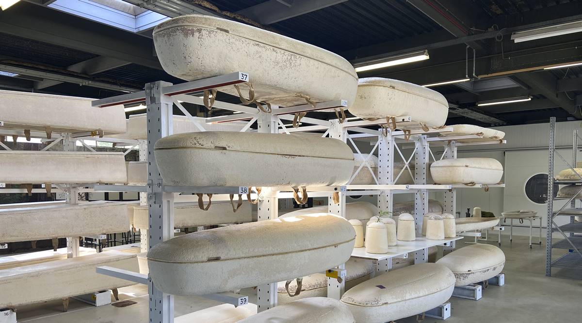 Sustainable till death do us part, and 45 days beyond; mushroom coffin ...