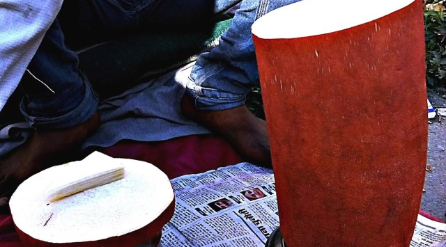 Ram Kandmool: A ‘mysterious roadside treat’ that takes 12-15 years to ...