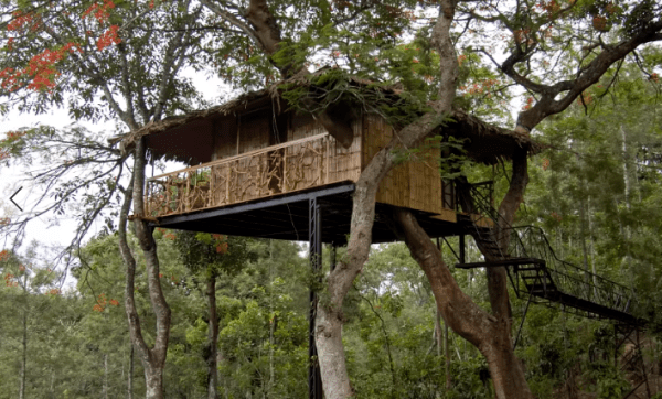 Make Your Summer Unforgettable With These Fun Family Vacations