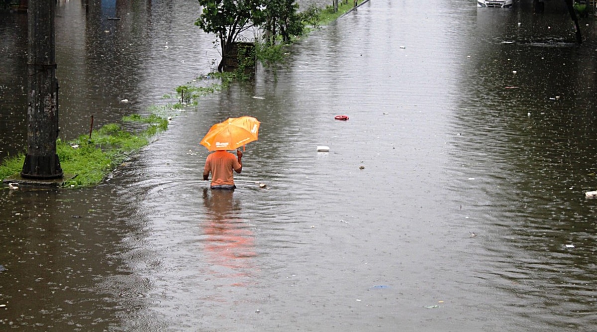 Mitigating climate change, flooding among BMC’s priorities: officials ...