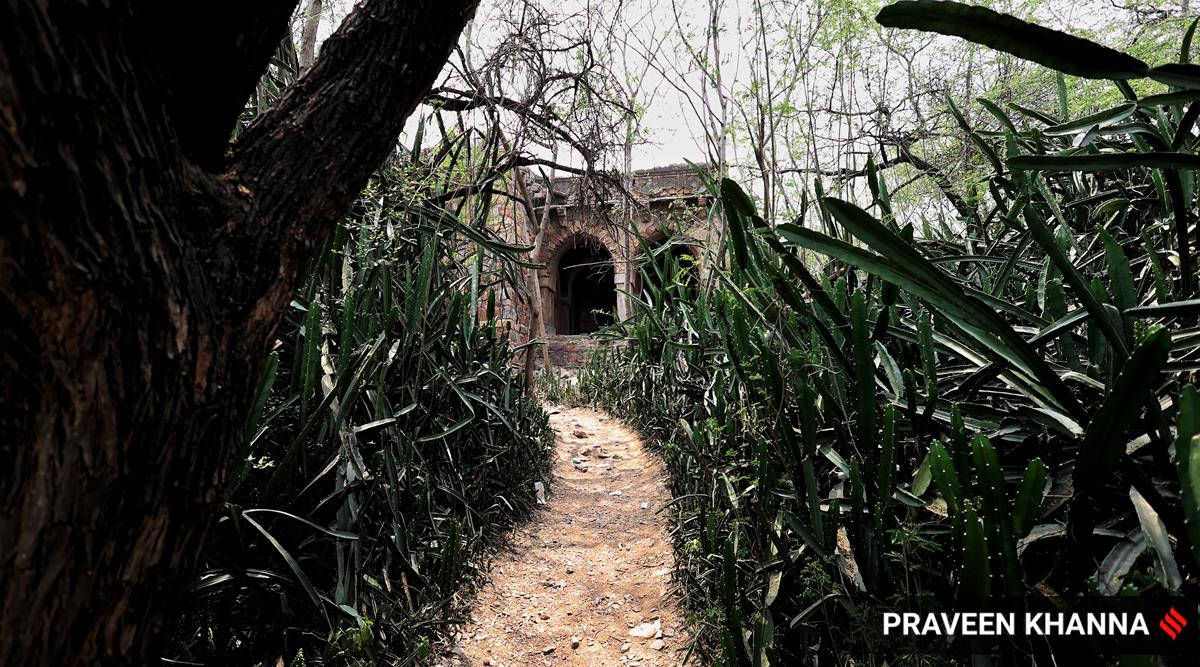 What is Malcha Mahal, the place where Delhi’s first ‘haunted walk ...