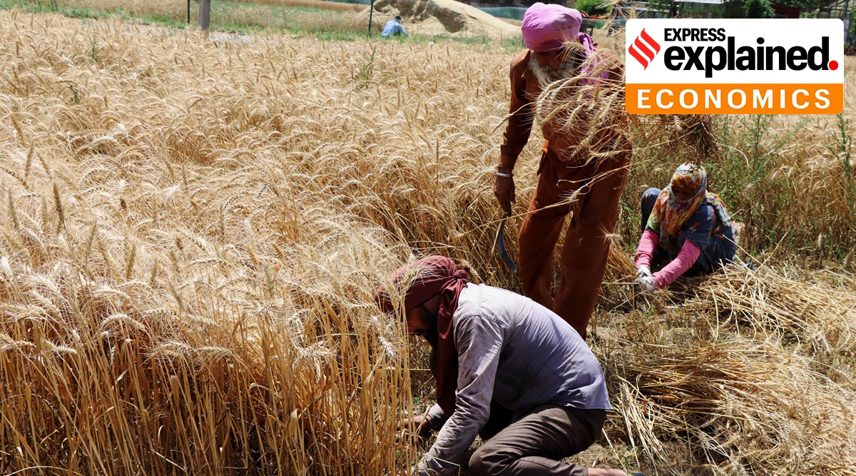 Ahead of monsoon season, what is the food supply situation | Explained ...