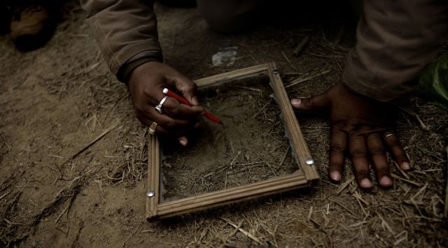 Odisha hikes compensation for human deaths due to wild animal attacks ...