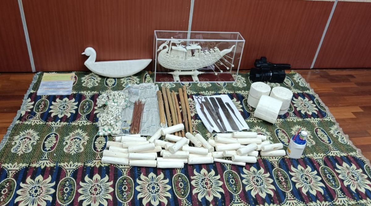 Rang De Neela: How artists and doctors are now joining hands to fight ...