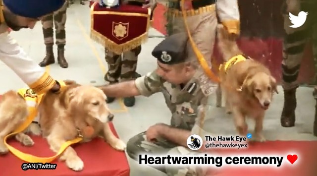 CISF felicitates 3 sniffer dogs that retired after serving DMRC for 8 ...