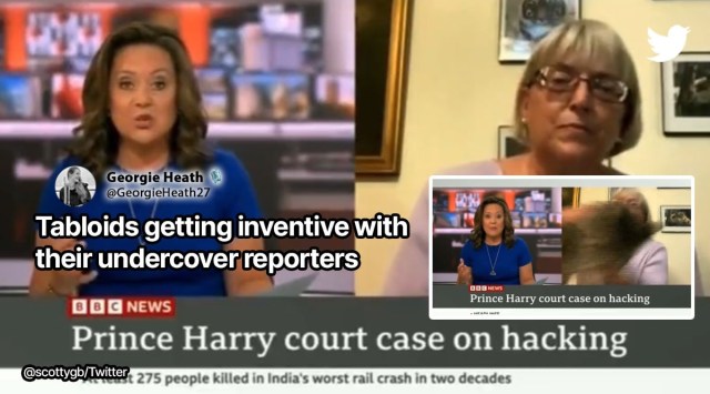 Cat steals the limelight during BBC interview of royal historian. Watch ...