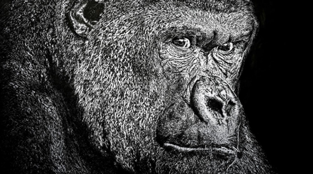 In Pictures: Art exhibition showcases artworks made of pen and ink ...