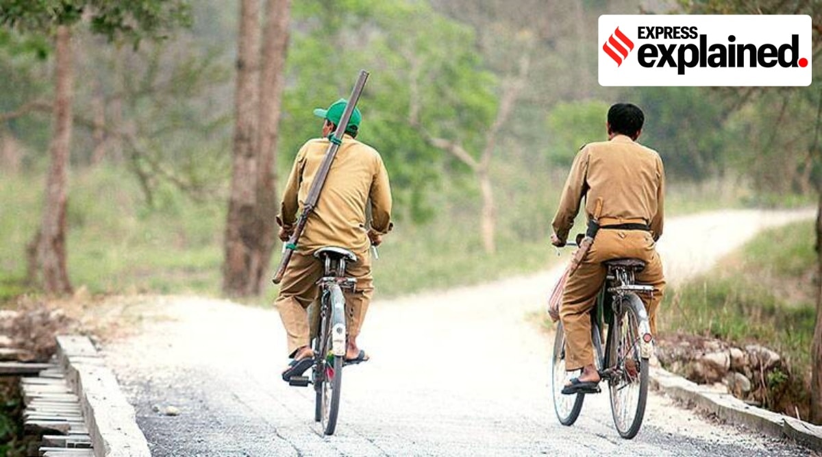 Poachers gun down Odisha tiger reserve patrol member: Why guns alone ...