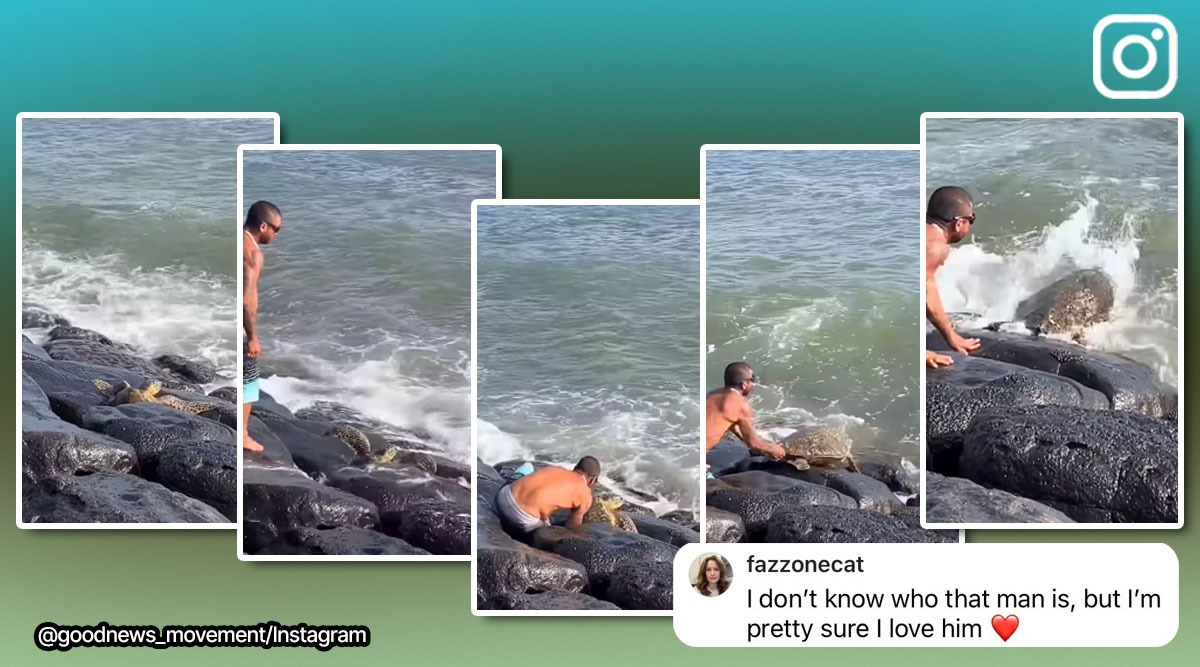 Man’s sea turtle rescue creates waves online. Watch | Trending News ...