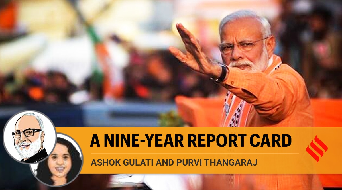 Ashok Gulati and Purvi Thangaraj write: The Modi government’s nine-year ...
