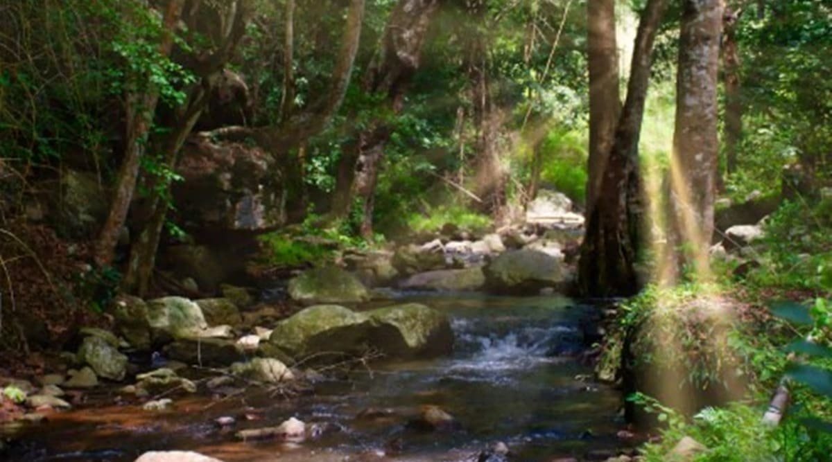 Provide insurance cover to visitors at eco-tourism sites in protected ...
