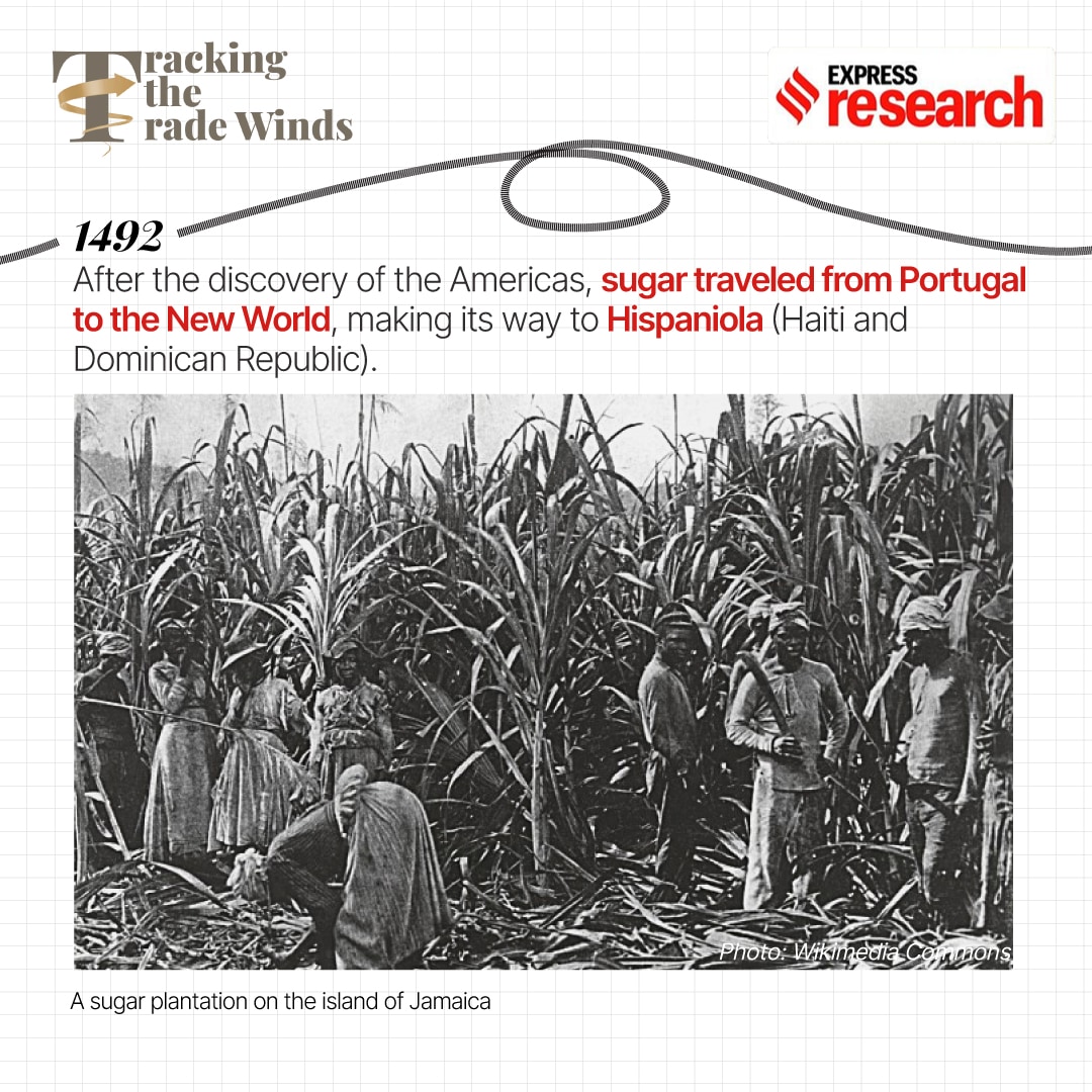 Sugar is sweet but its history says otherwise | Research News - The ...