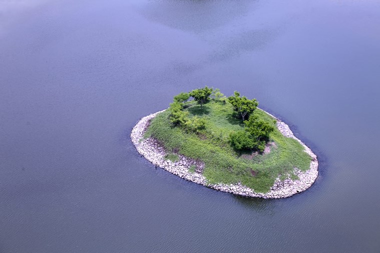 Lakes of Bengaluru: Once a cesspool, Veerasandra lake is now a pristine ...