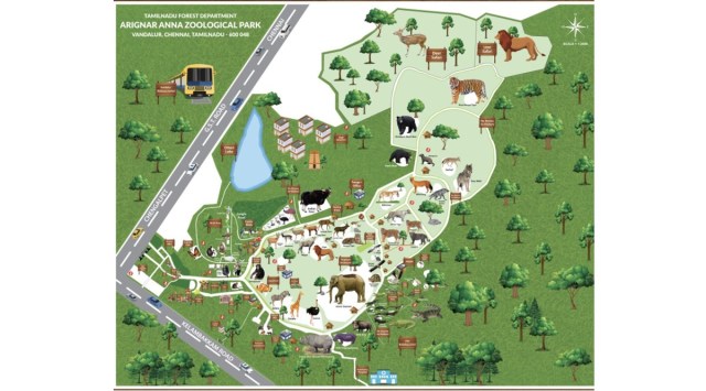 TN govt issues order to set up museum, theatre at Vandalur zoo ...