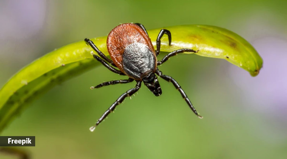 UK scientists warn of new ‘deadly virus’ due to climate change; know ...