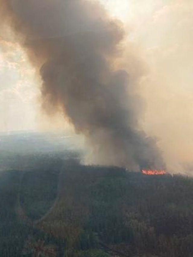 Canada wildfires emit record 160 million tonnes of carbon | The Indian ...