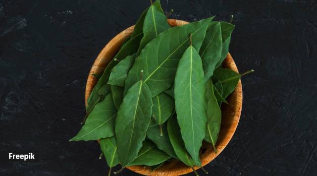 Coined by two Germans, know the fascinating history behind curry leaves ...