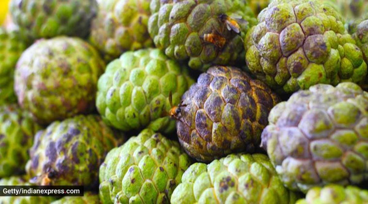 Nutrition alert: Custard apple (100 grams) contains…