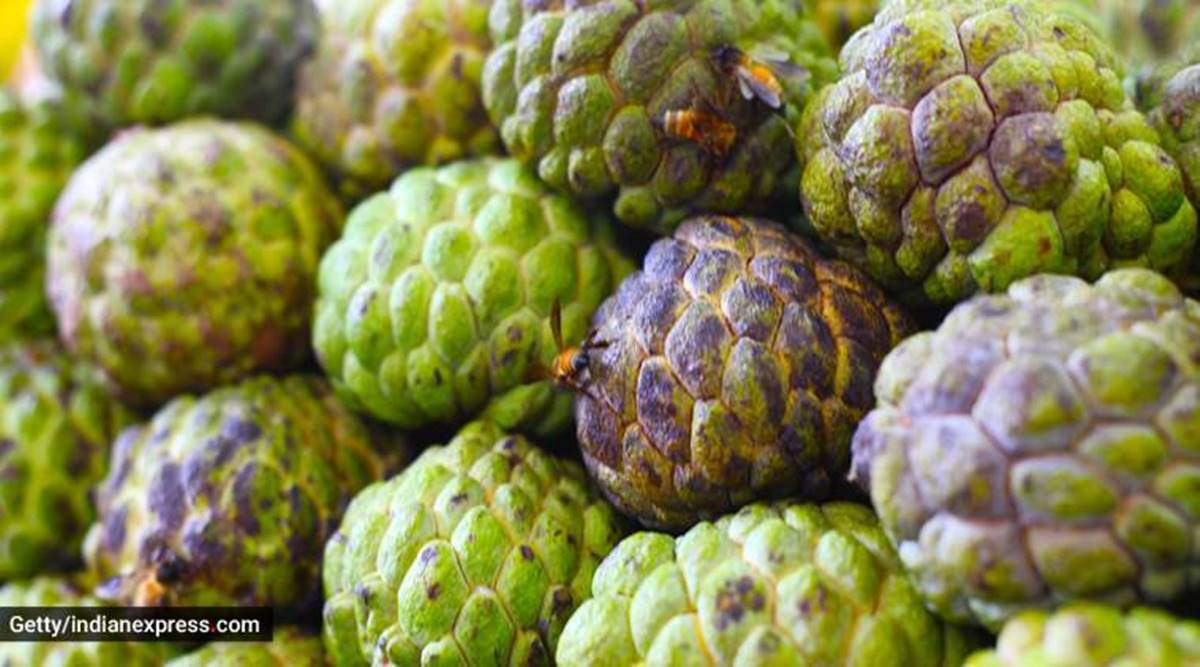 Nutrition alert: Custard apple (100 grams) contains…