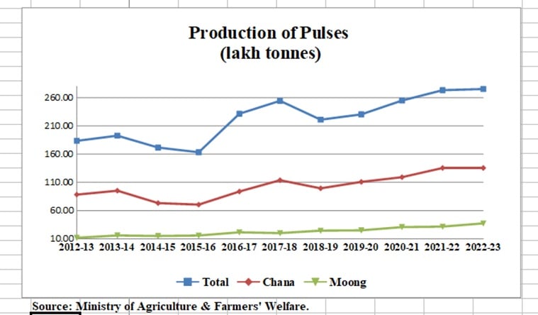 Pulses production goes up: The success story of chana and moong ...