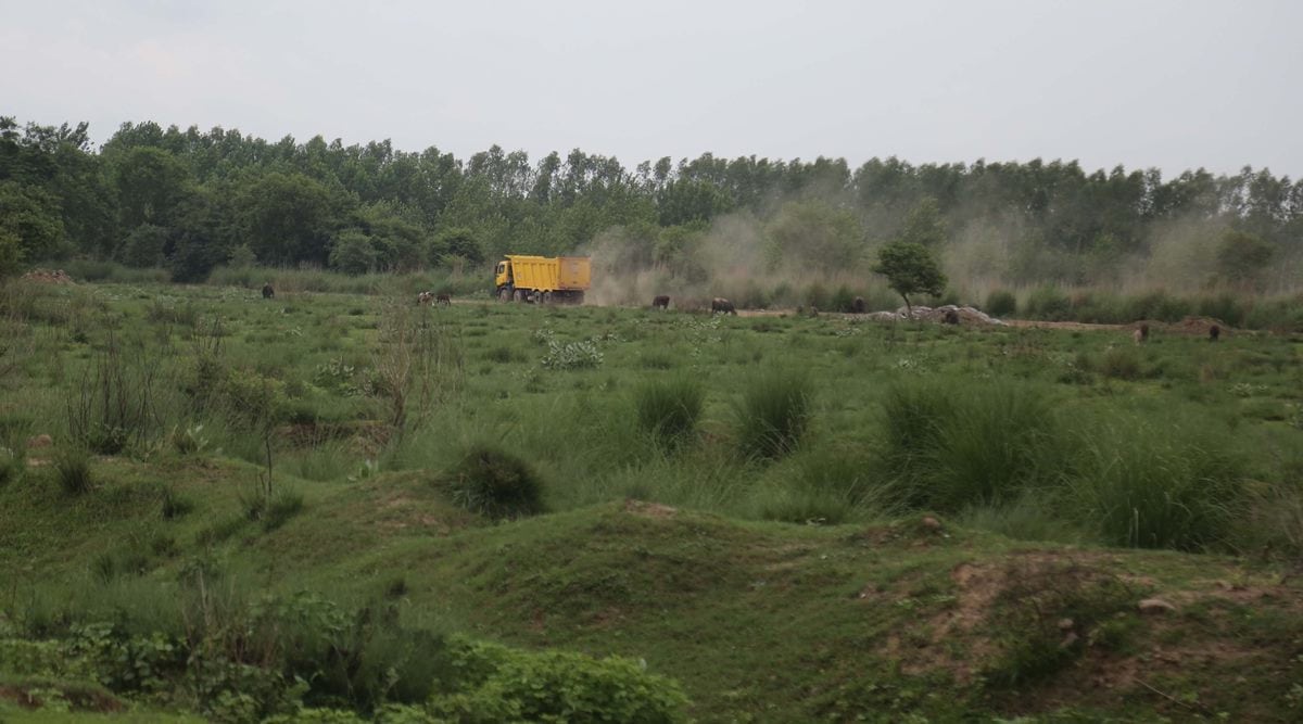 Karnataka DCF suspended for permitting quarrying in deemed forest land ...