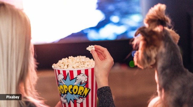 Thailand’s first pet-friendly cinema opens doors for four-legged movie ...