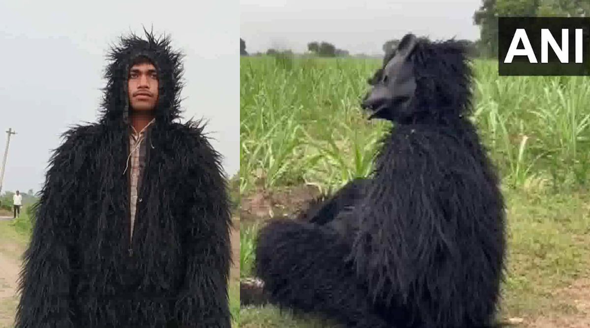 Farmers in UP don bear costumes to scare away monkeys | Trending News ...