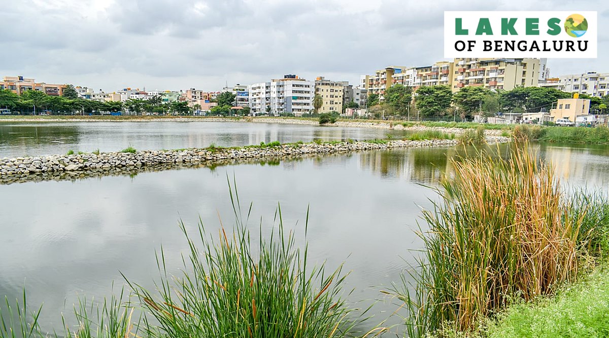 Lakes of Bengaluru: Recently restored, Somasundarapalya once again a ...
