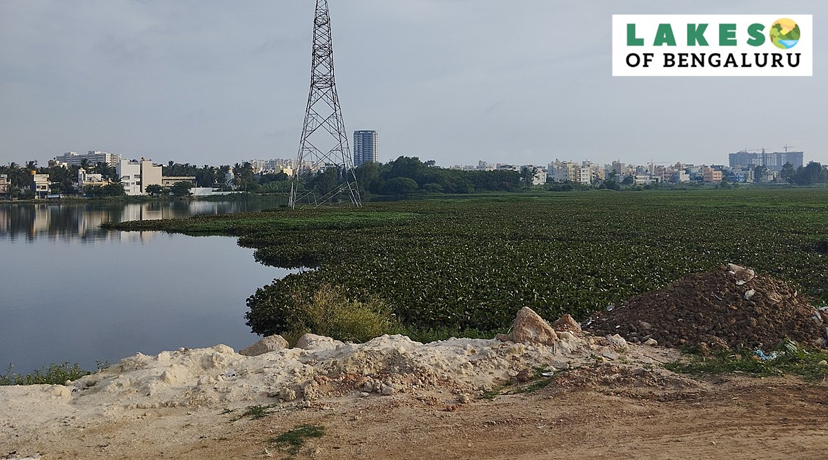 Lakes of Bengaluru: Apathy of KSPCB, panchayat blamed for sorry state ...