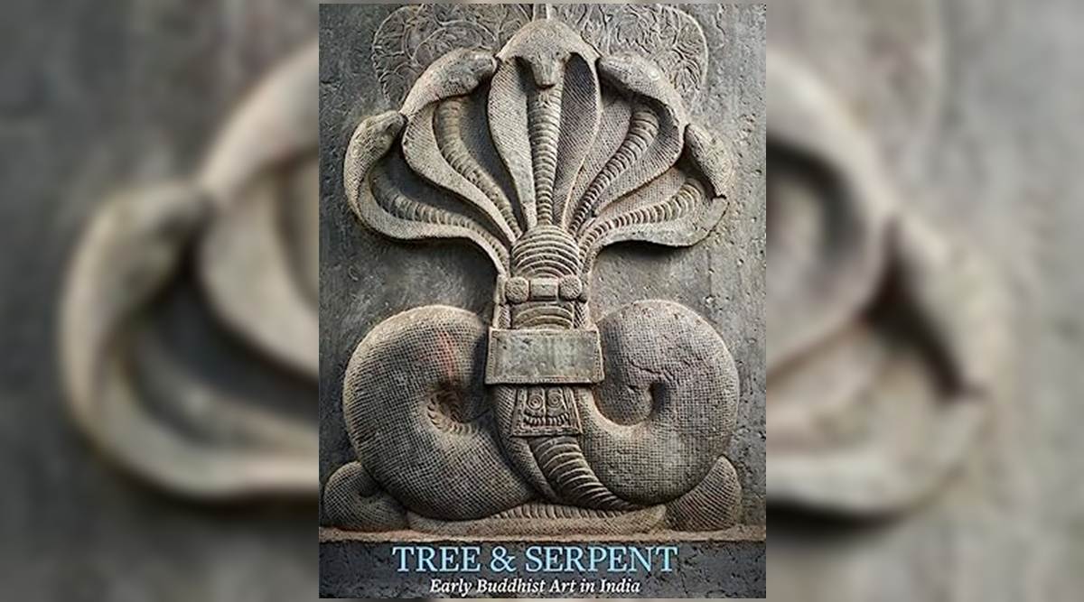 ‘Tree & Serpent’: Book traces emergence of Buddhist art in southern ...