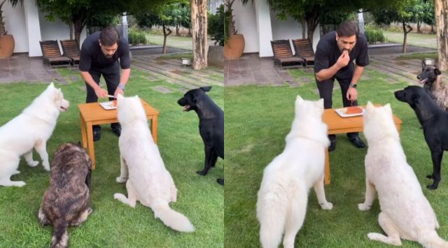 ‘A glimpse of what I did on my birthday’: MS Dhoni shares cake cutting ...