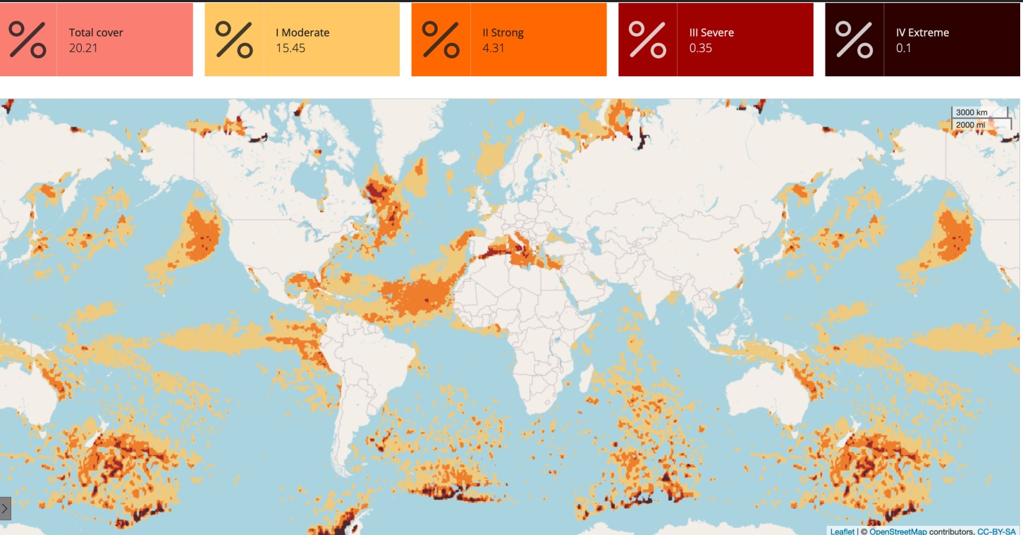 What are marine heat waves, which have gripped parts of the world’s ...