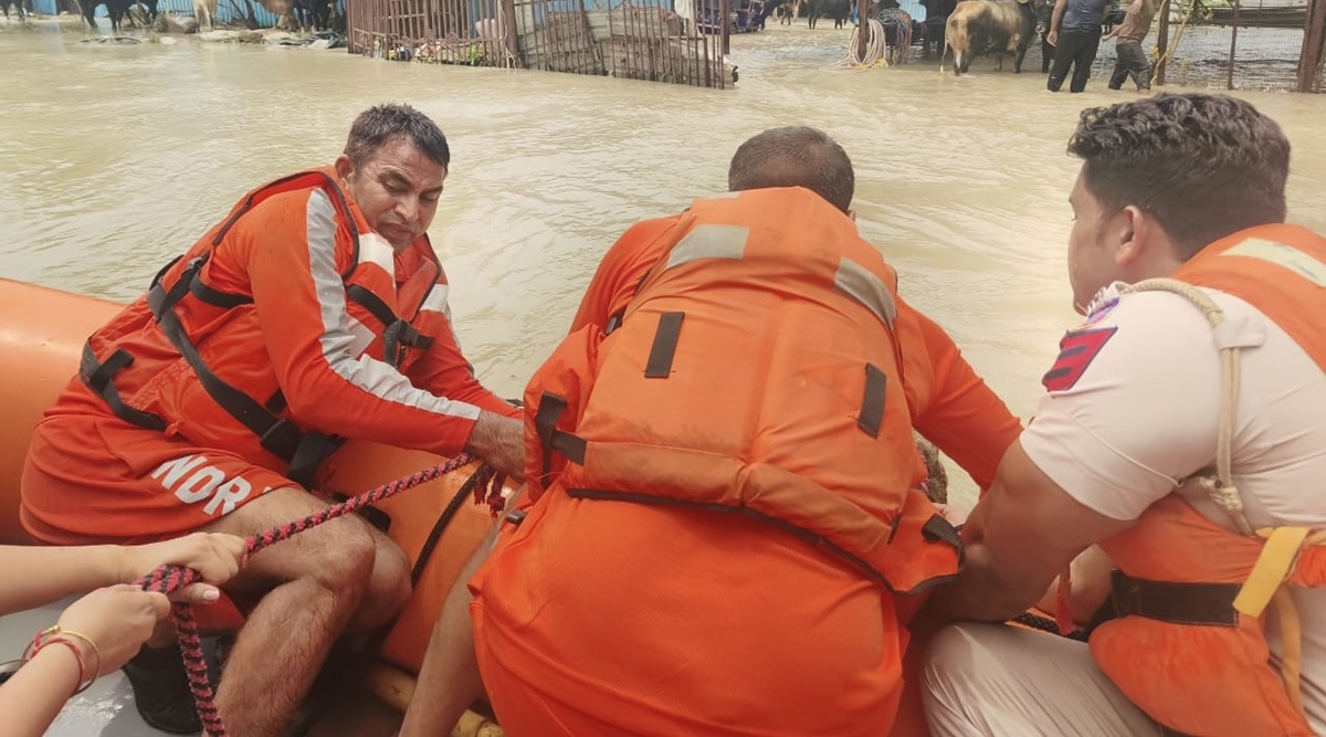 People moved to safety, rescue teams have new mission — saving animals ...