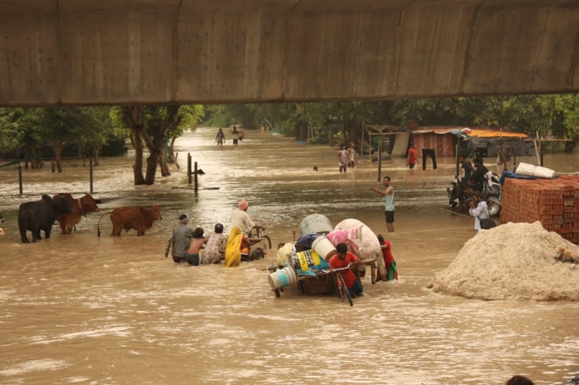 Yamuna floods: HC seeks status report from Delhi govt in PIL seeking ...