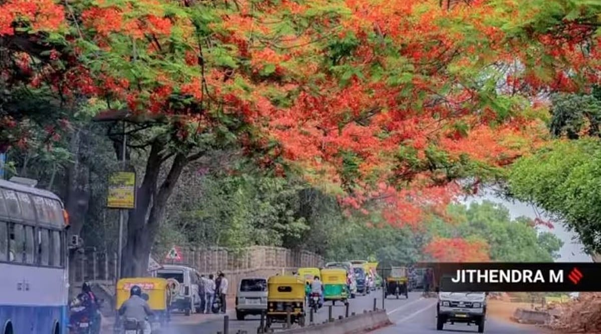 BBMP official led 8-member committee to focus on ‘Vibrant Bengaluru ...