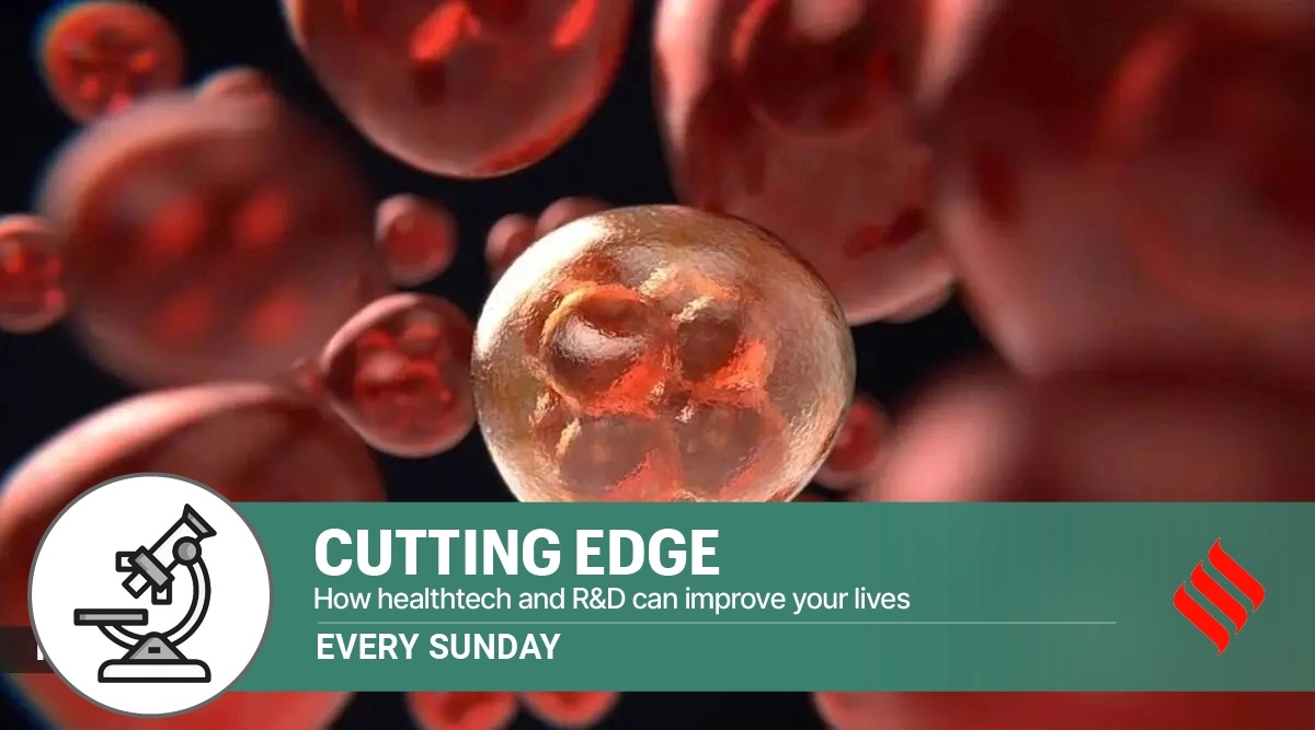 How a nano knife can find and kill the smallest of cancer cells ...