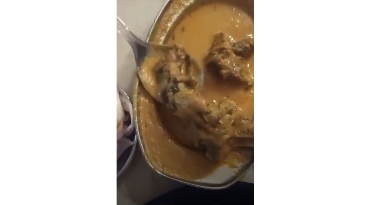 ‘Dead rat’ found in non-veg dish, Ludhiana eatery owner booked after ...