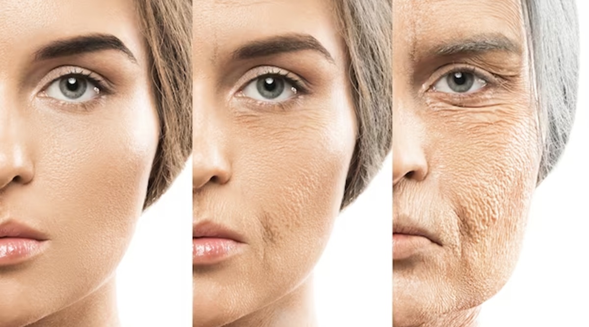 Ageing is complicated – a biologist explains why no two people or cells ...