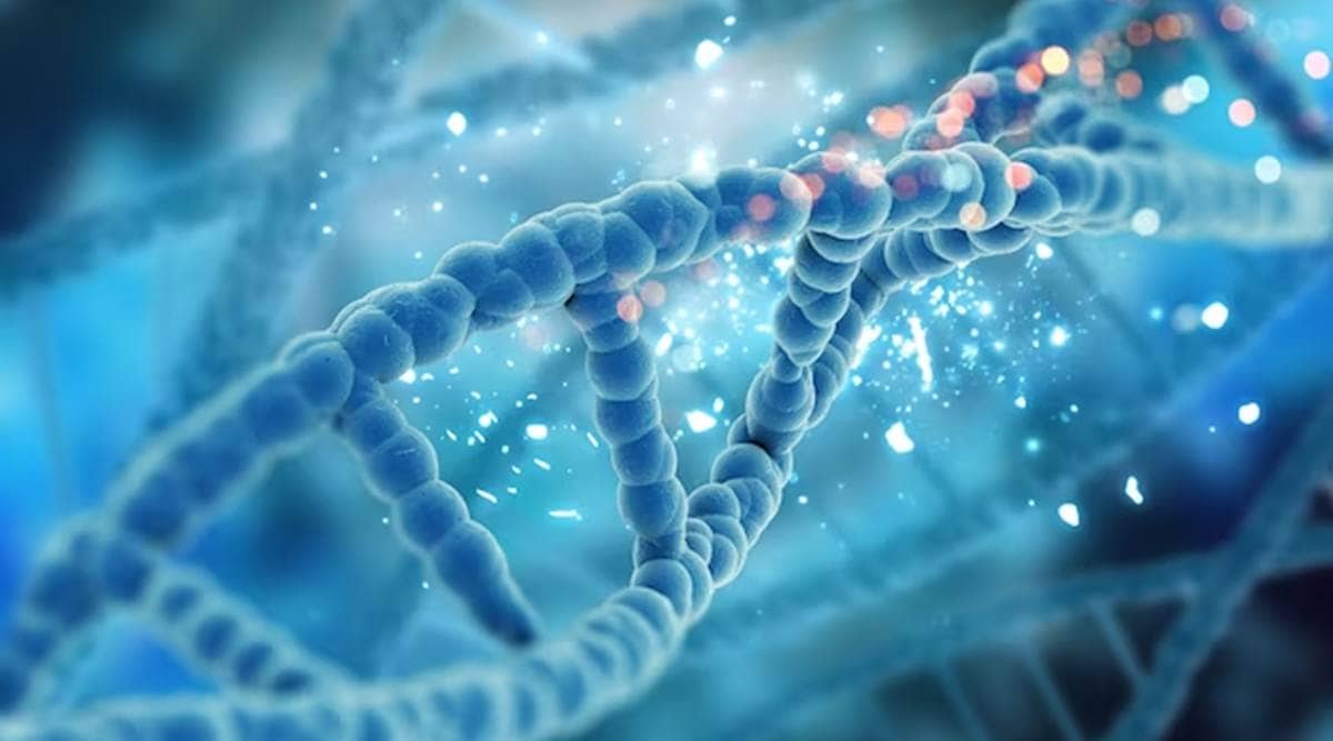 Genes for learning and memory originated 650 million years ago: Study ...