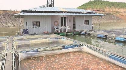 Indian Fish Farm