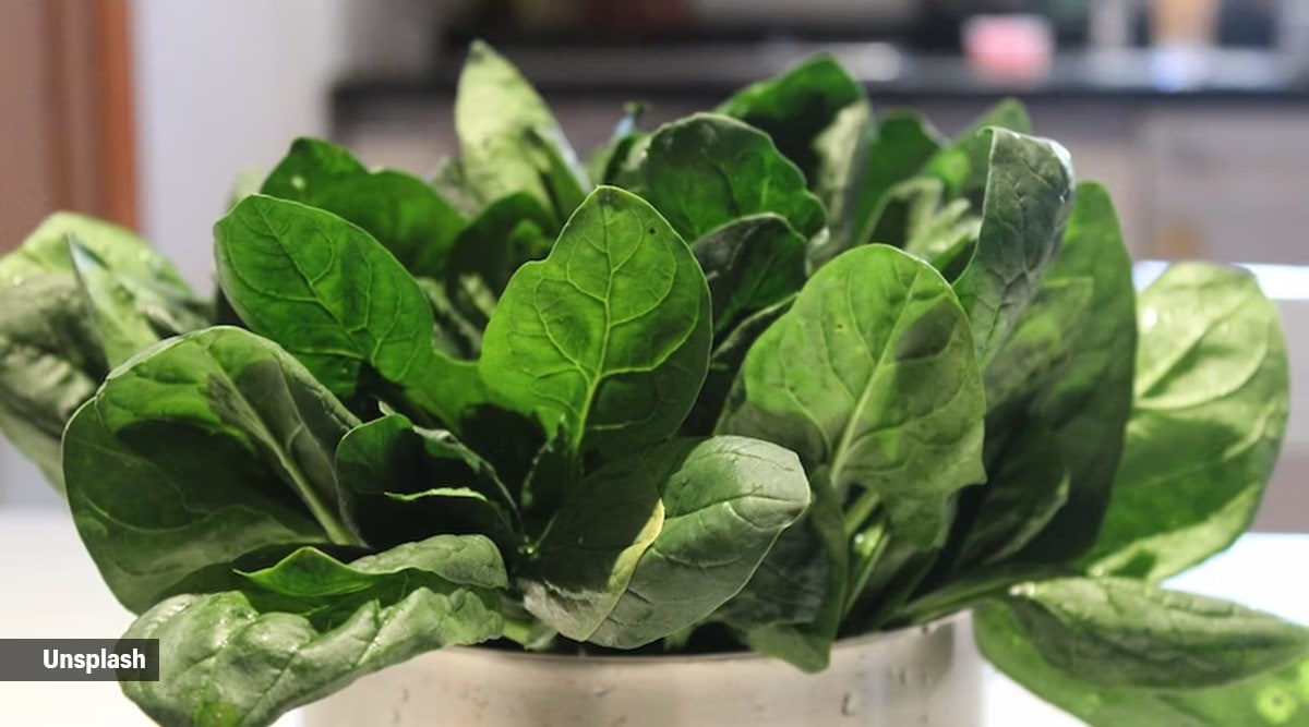 Nutrition alert: Here’s what a 100-gram serving of palak contains ...